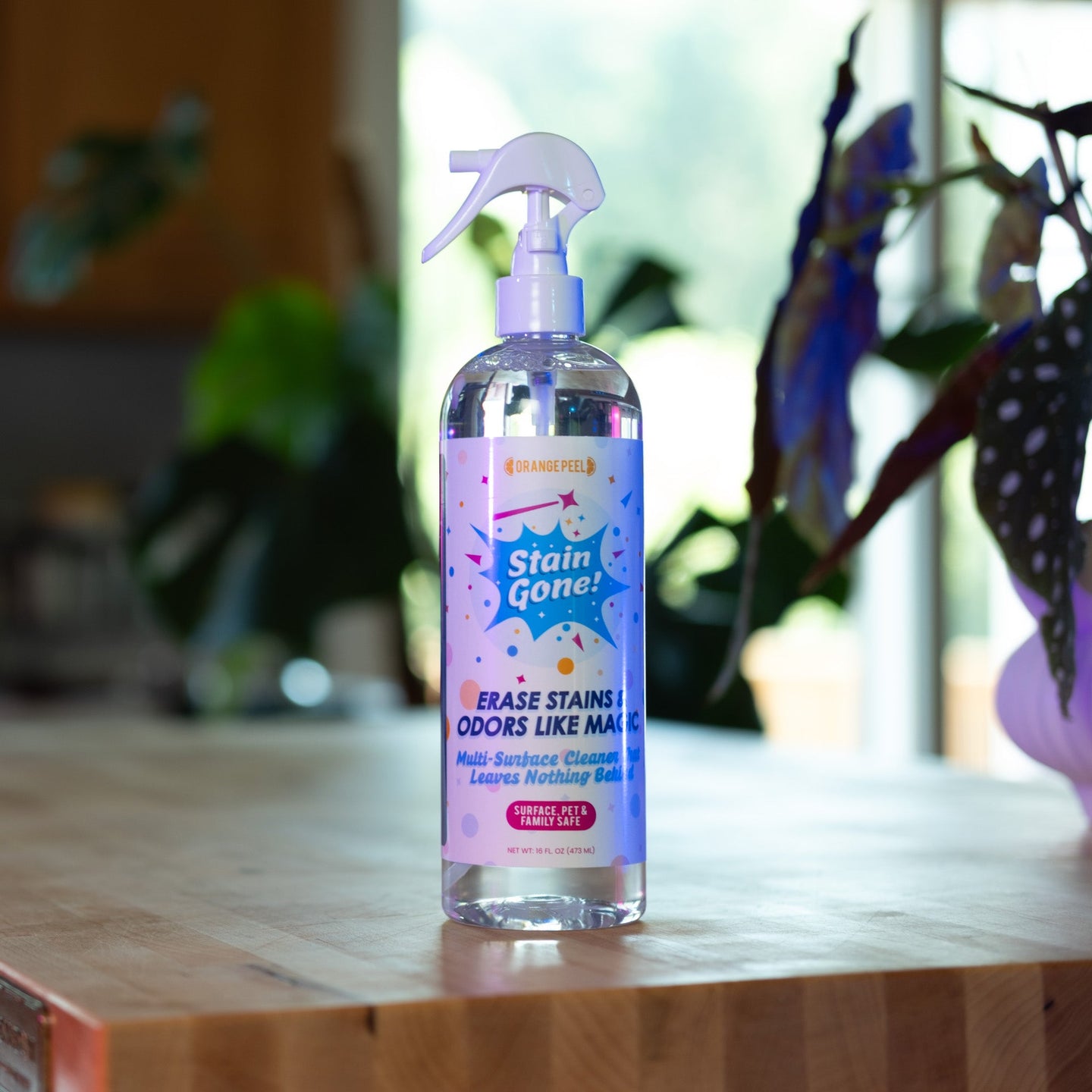 Stain Gone 16oz Stain & Odor Eliminator